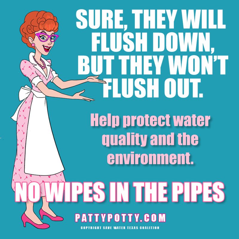 Patty Potty - No Wipes in the Pipes - Trash em dont flush em